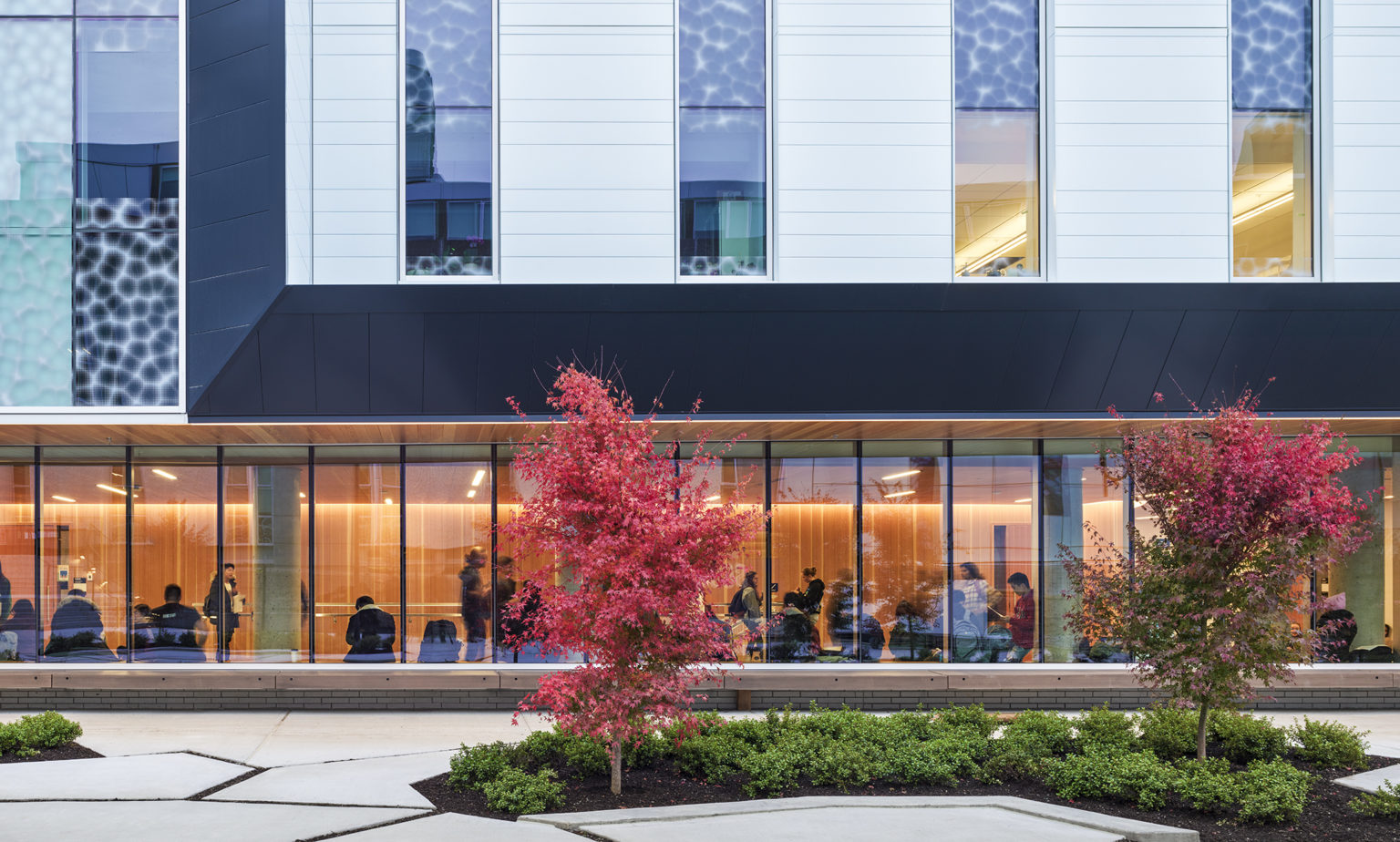 Revitalized Undergraduate Biosciences Complex opens at UBC | Diamond ...
