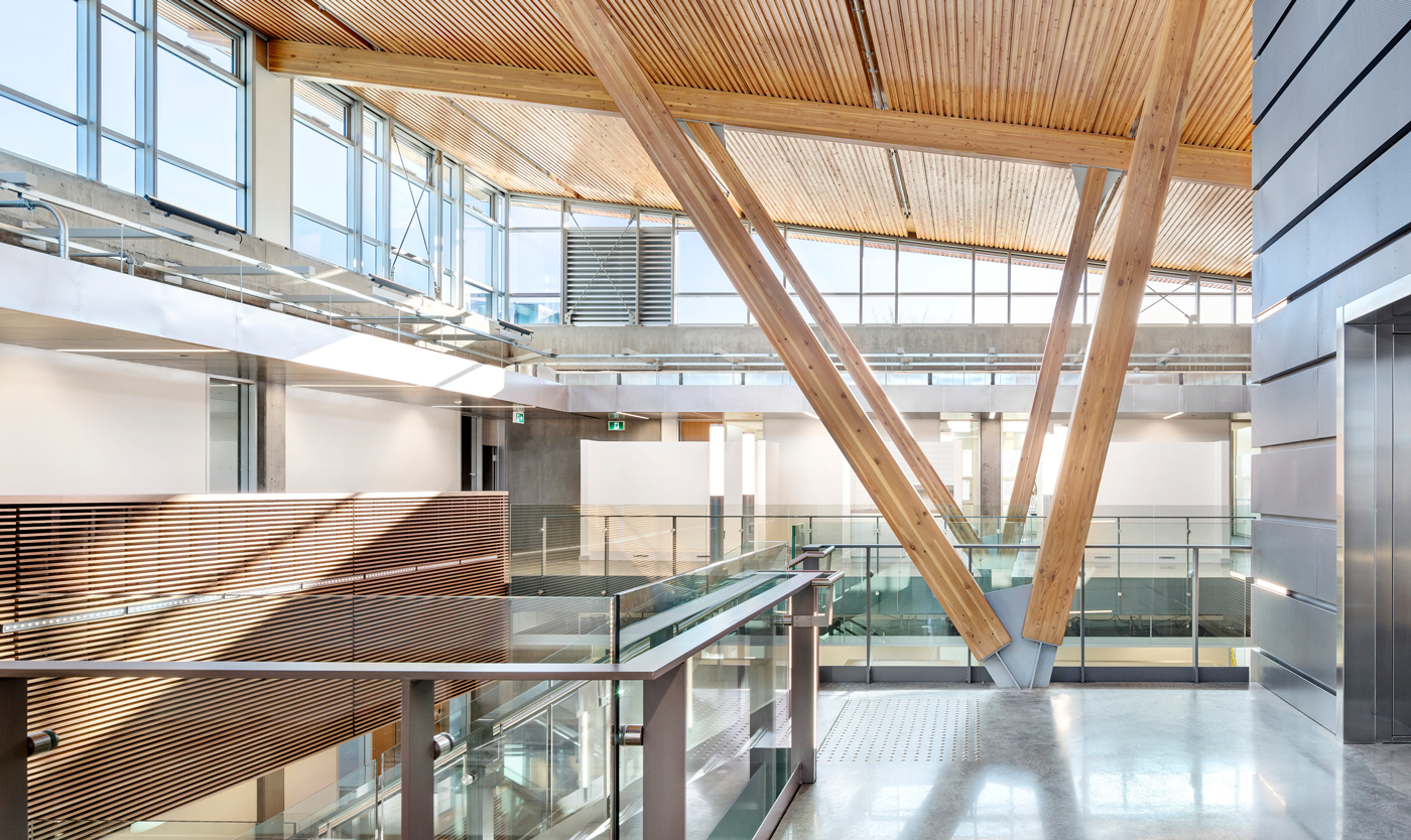 Studio | Diamond Schmitt